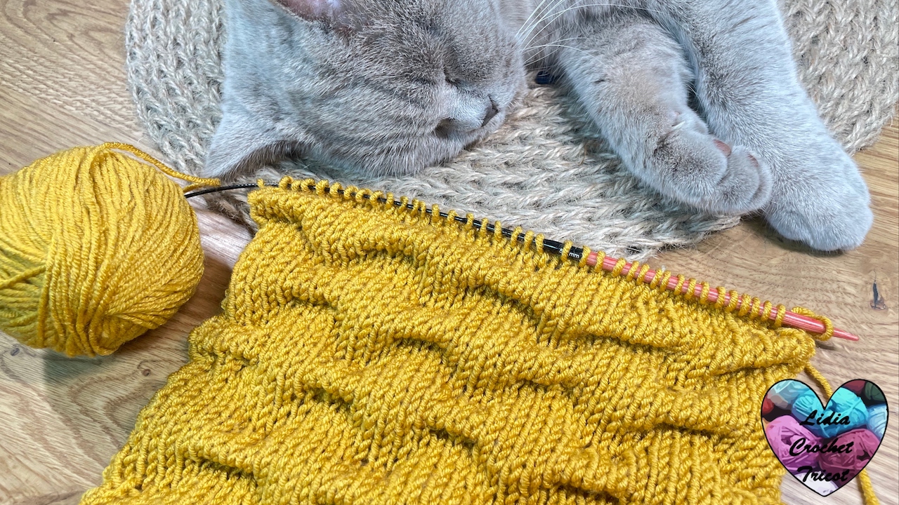 Point vague relief: tutoriel au tricot par Lidia Crochet Tricot